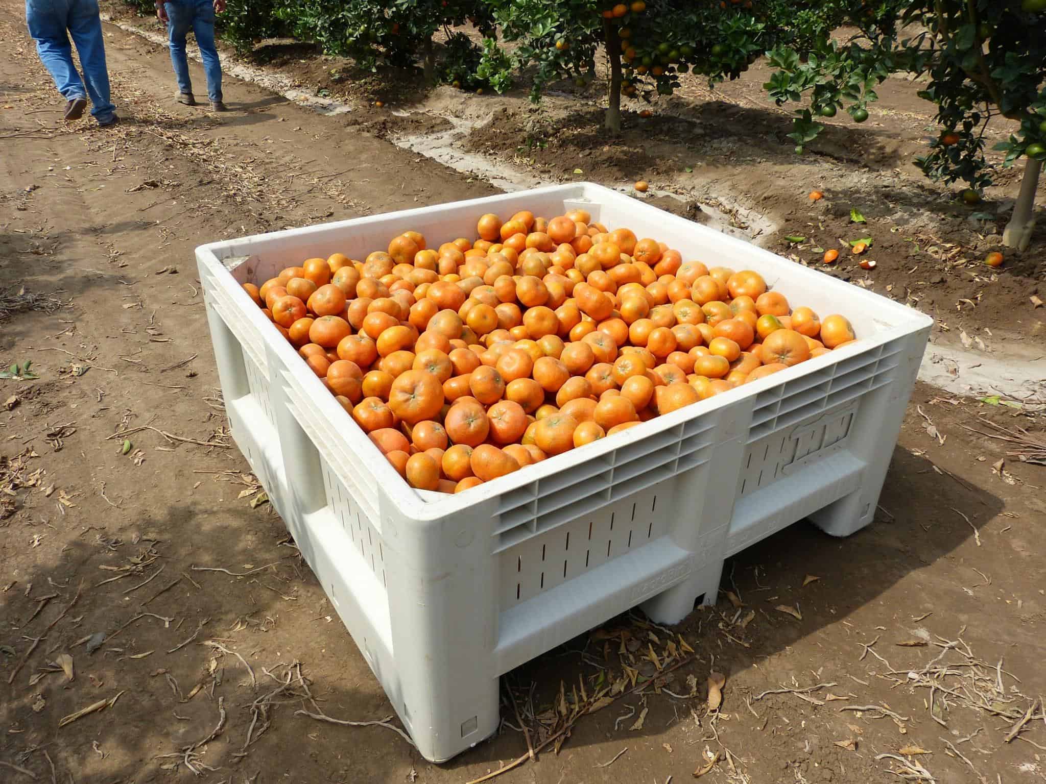 Plastic bins | containers | totes | NNZ United States