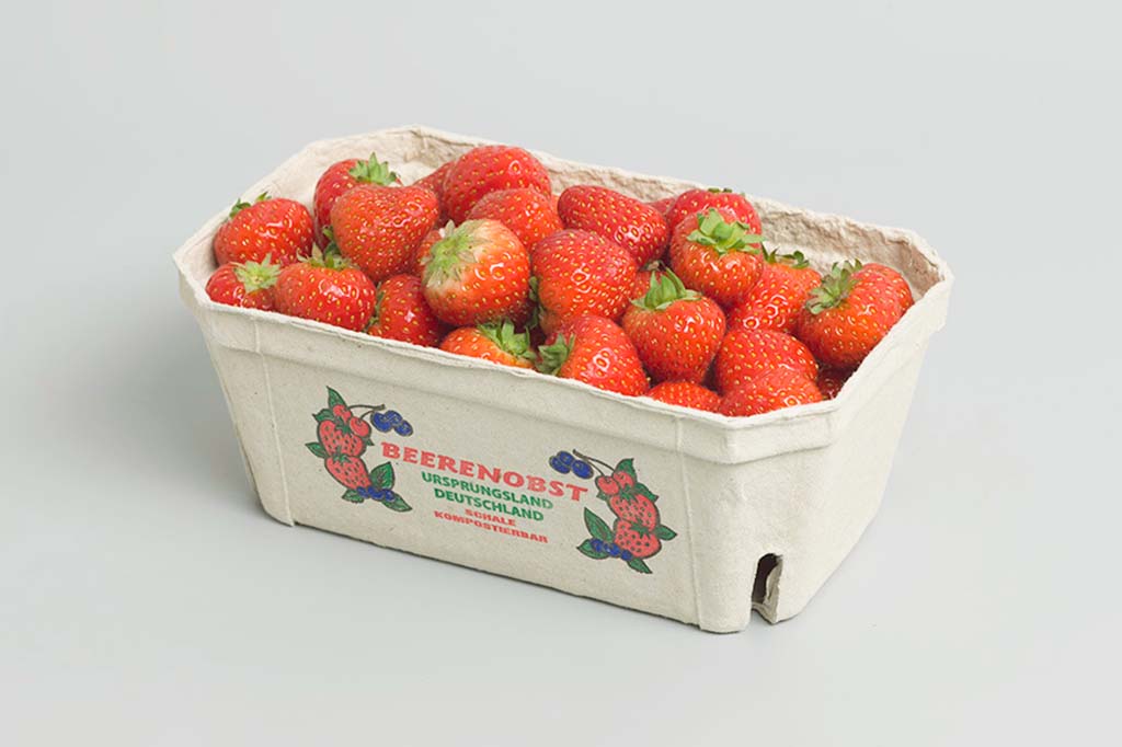 Strawberry packaging | NNZ United States